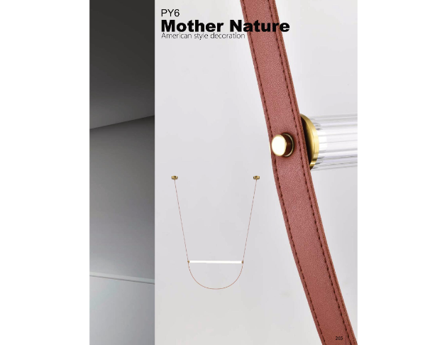 PY6-NO.265 | 橋式照明工程有限公司