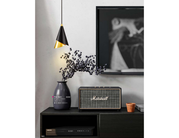 PY6-NO.360 | 橋式照明工程有限公司