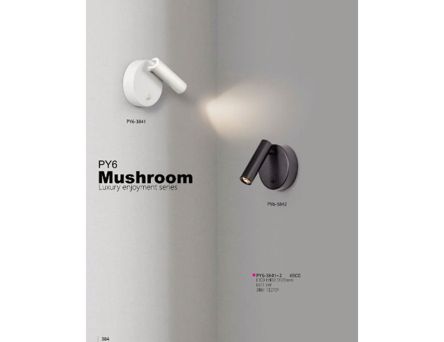 PY6-NO.384 | 橋式照明工程有限公司