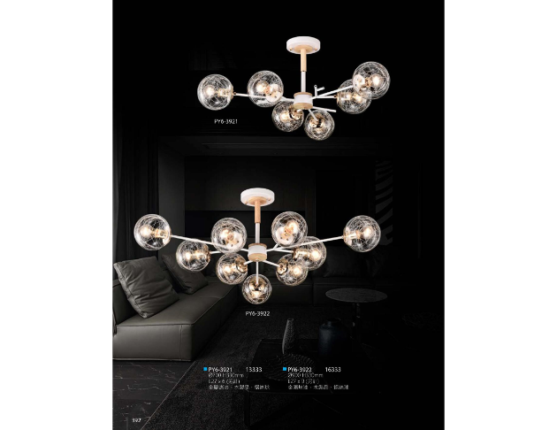 PY6-NO.392 | 橋式照明工程有限公司