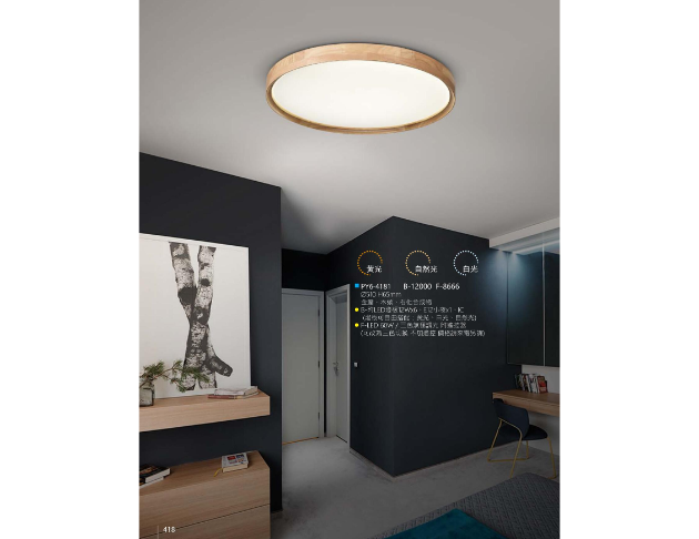 PY6-NO.418 | 橋式照明工程有限公司