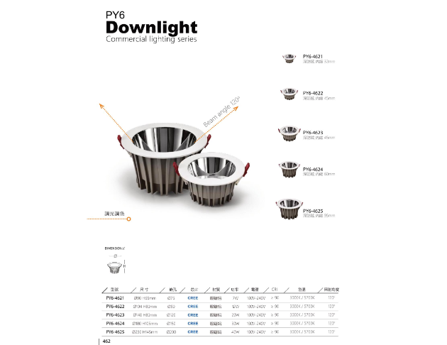 PY6-NO.462 | 橋式照明工程有限公司