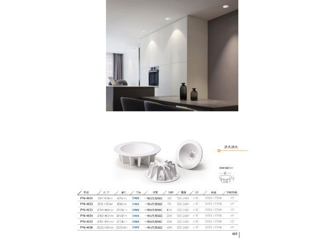 PY6-NO.463 | 橋式照明工程有限公司