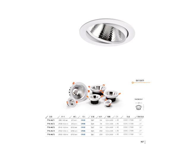 PY6-NO.467 | 橋式照明工程有限公司