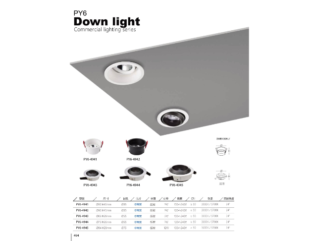 PY6-NO.494 | 橋式照明工程有限公司