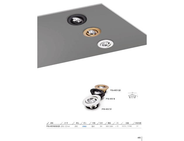 PY6-NO.495 | 橋式照明工程有限公司