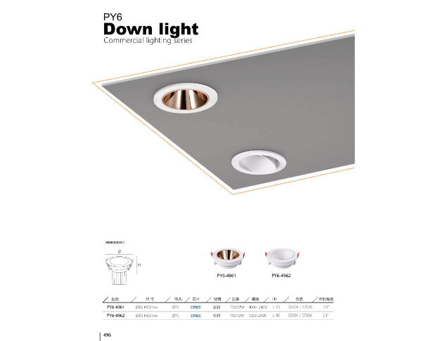 PY6-NO.496 | 橋式照明工程有限公司