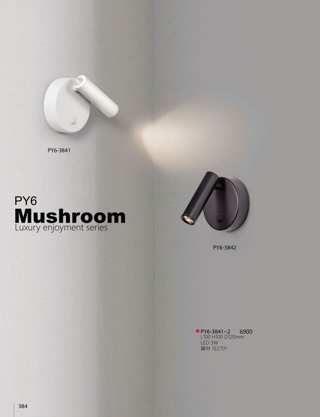 PY6-NO.384 | 橋式照明工程有限公司