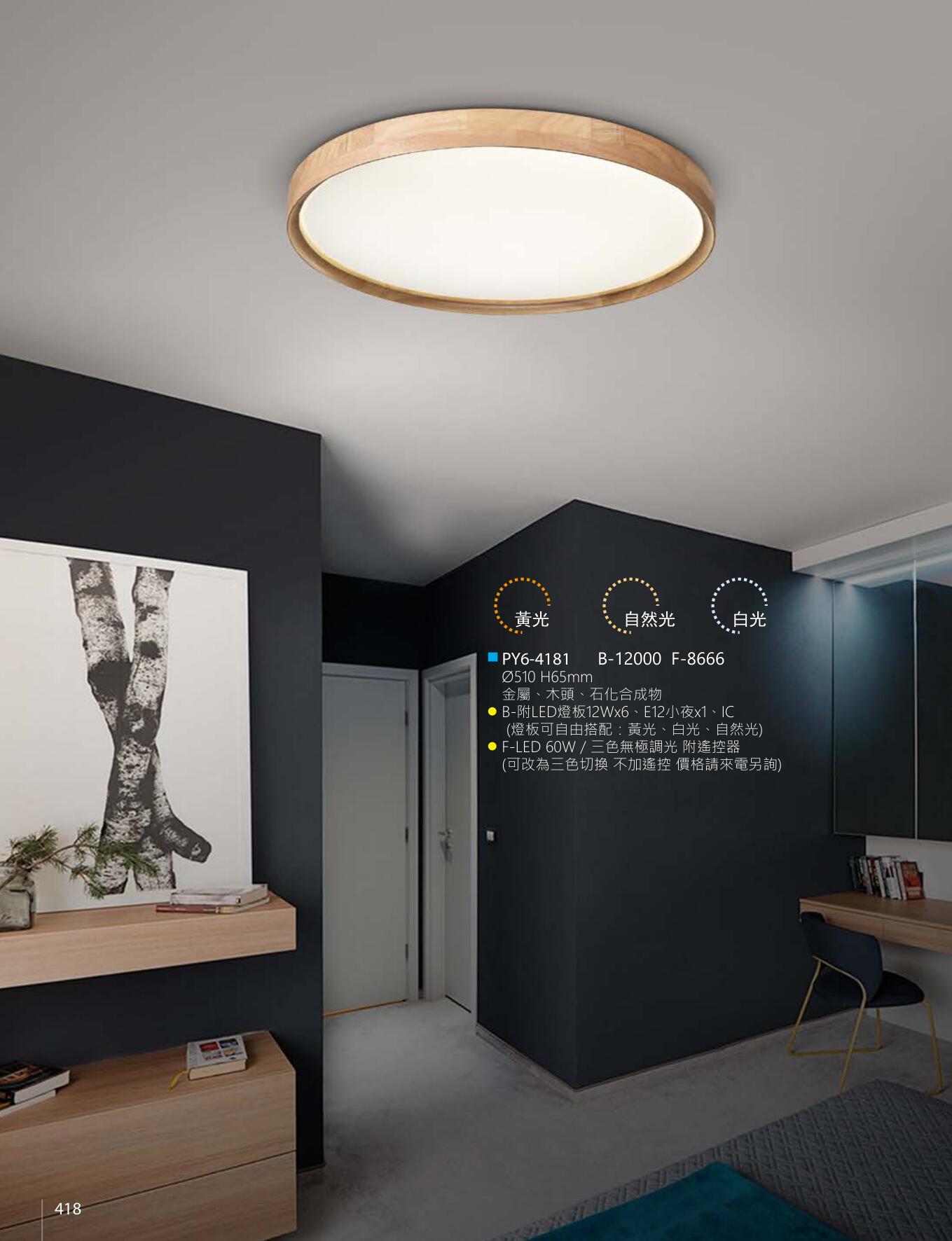 PY6-NO.418 | 橋式照明工程有限公司