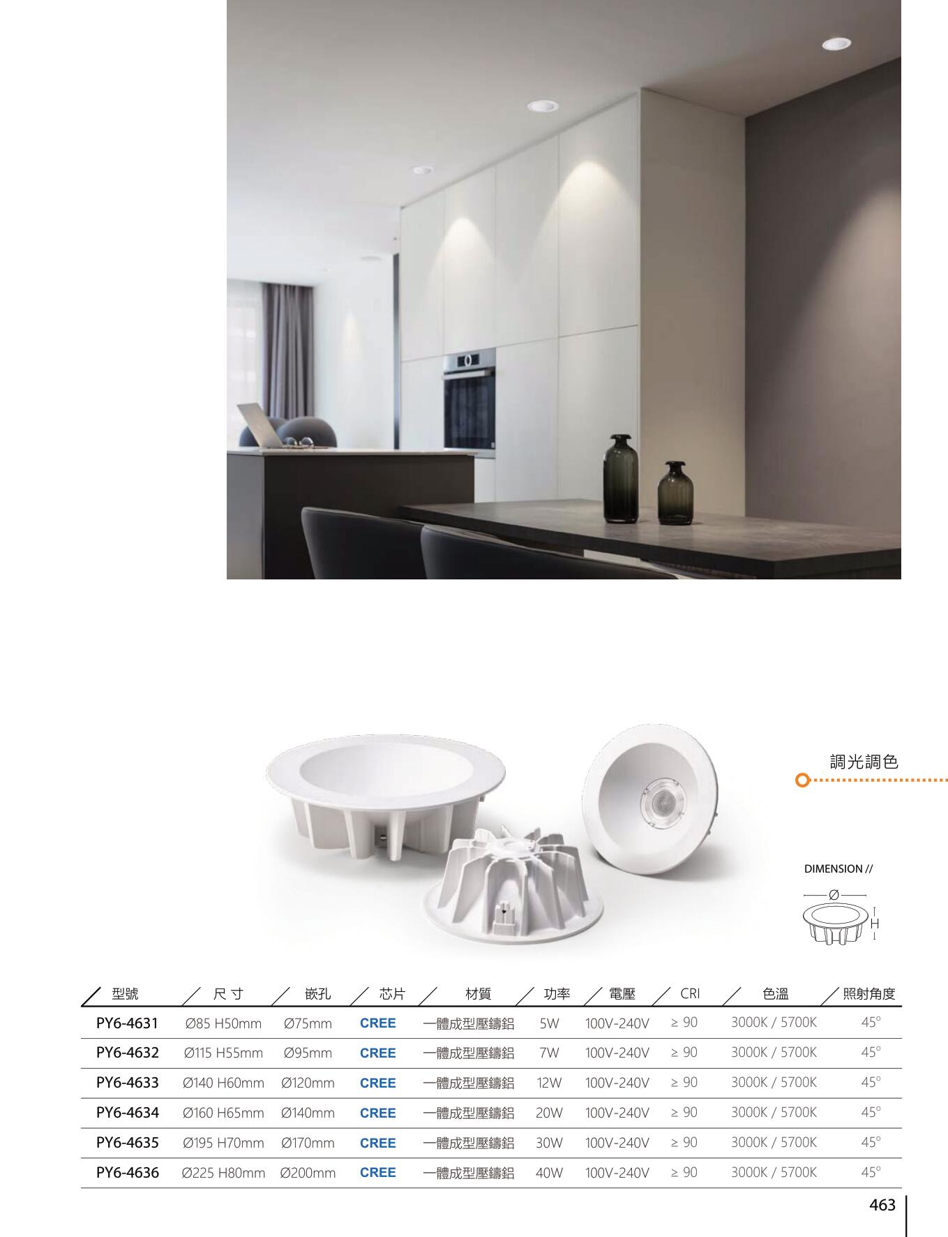 PY6-NO.463 | 橋式照明工程有限公司