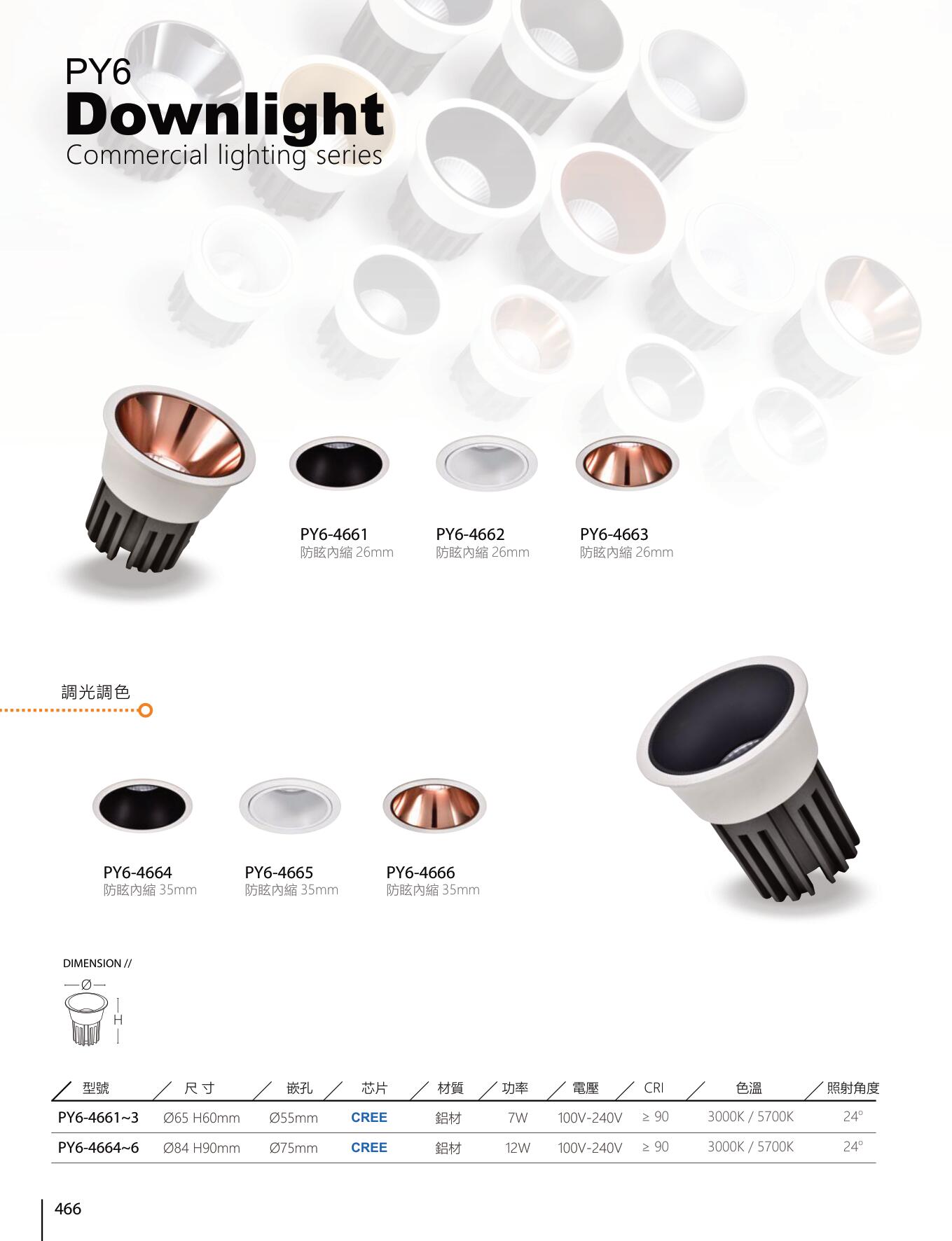 PY6-NO.466 | 橋式照明工程有限公司