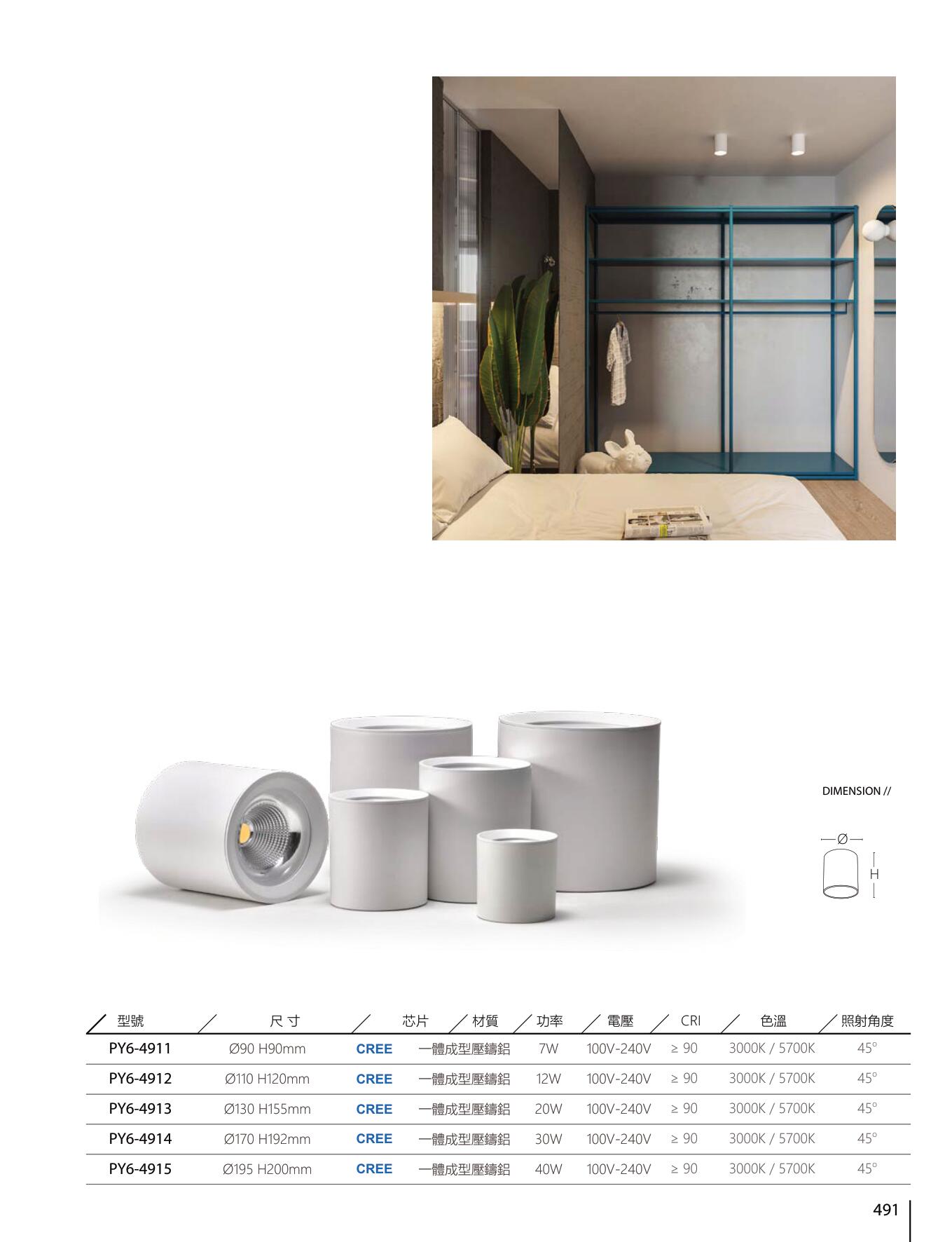 PY6-NO.491 | 橋式照明工程有限公司