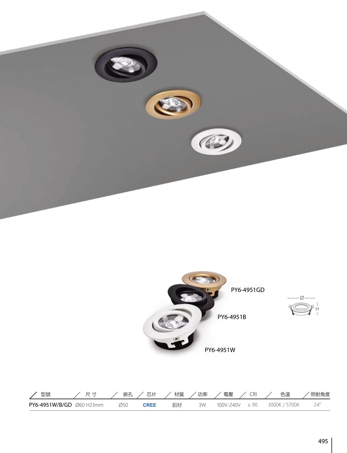 PY6-NO.495 | 橋式照明工程有限公司